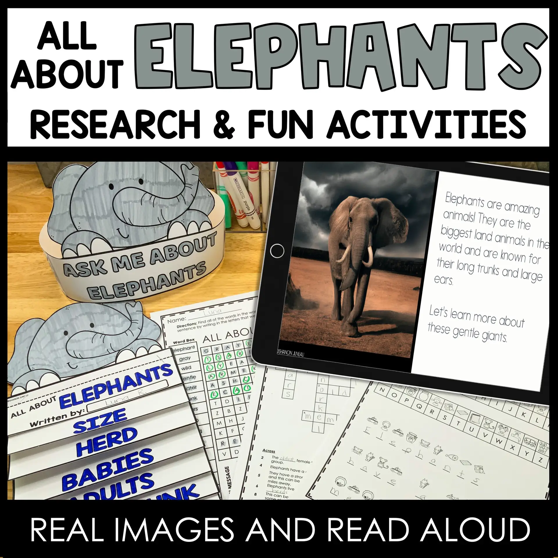 All About Elephants 1st 2nd Animal Research Projects Nonfiction Book ...