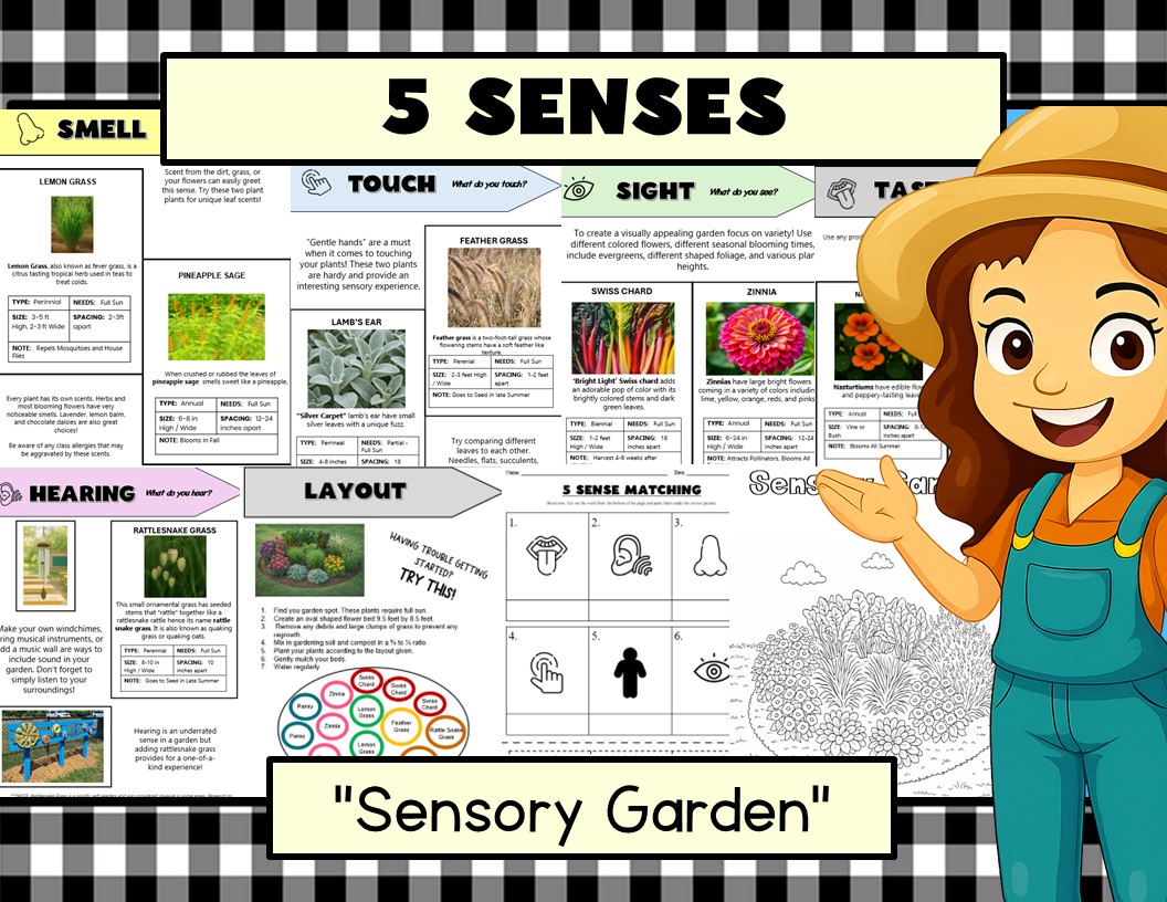 5 Senses Outdoor - Sensory Garden - TeacherStore.io™